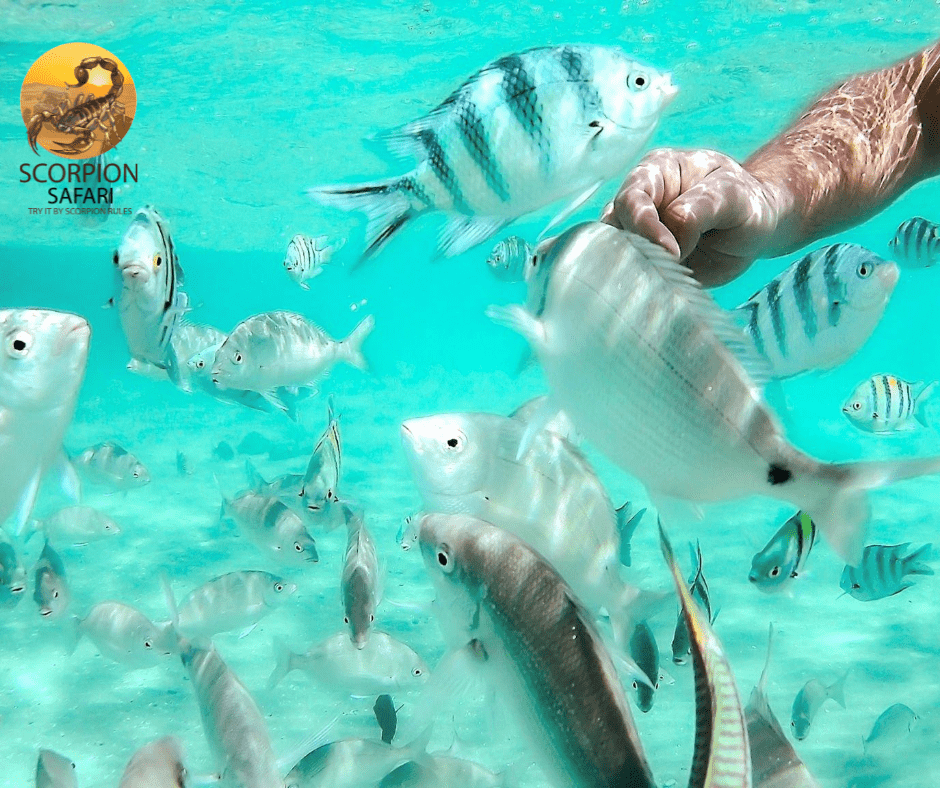 12 Things to do in Hurghada: Your dream adventure awaits